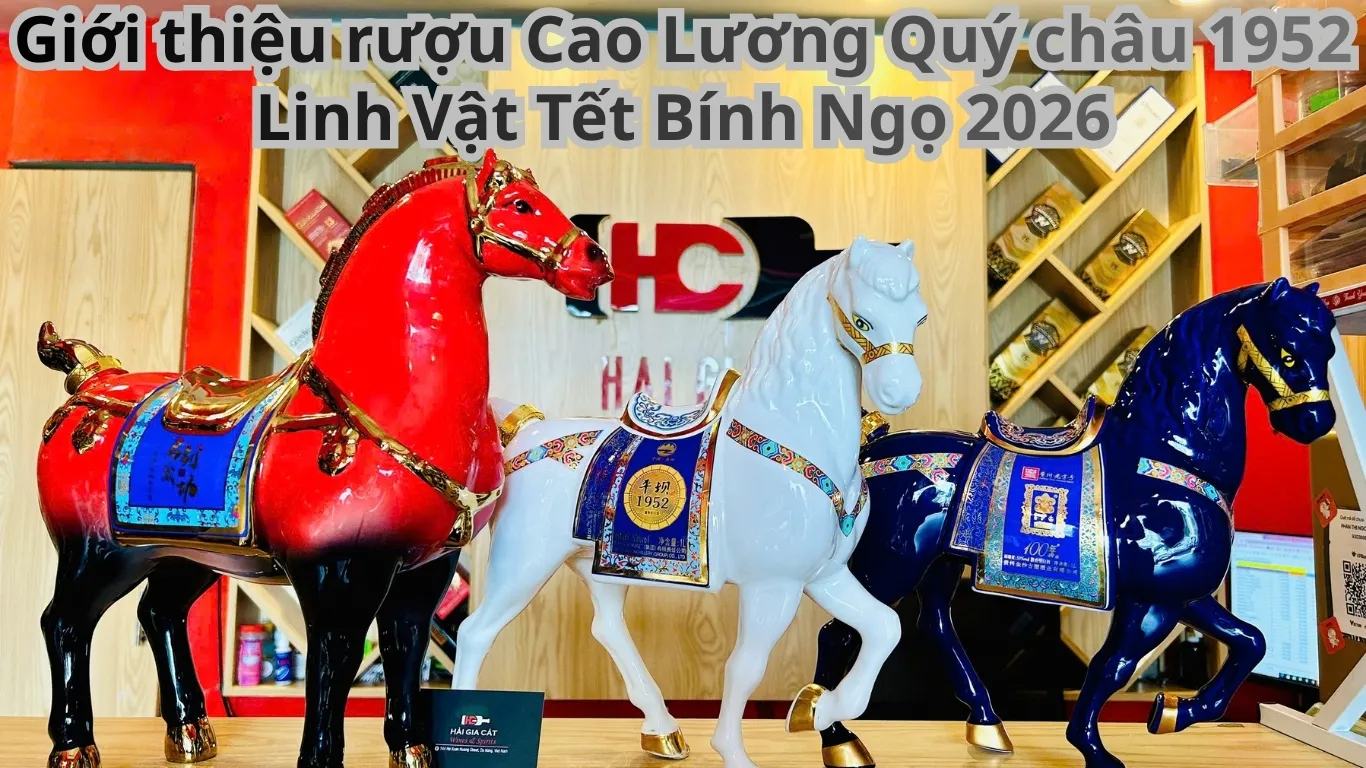 Rượu Cao Lương Quý Châu 1952 - Linh vật Ngựa Sứ 2026